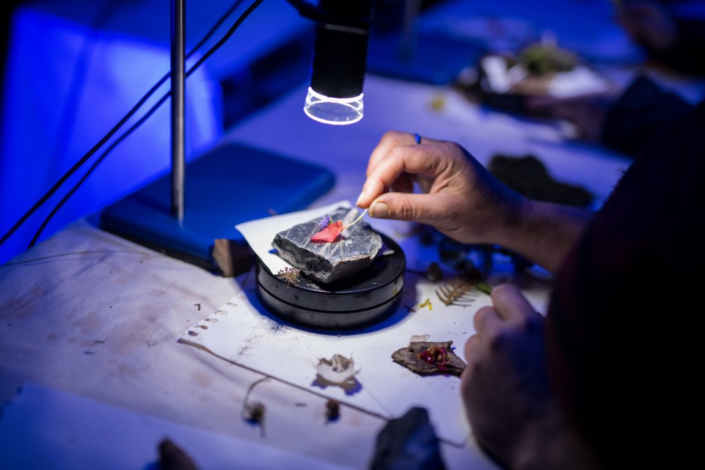 Strange Loop: Jamie Wardrop and Sita Pieraccini